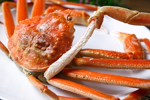 MST_005 | 유토이미지 검색 결과