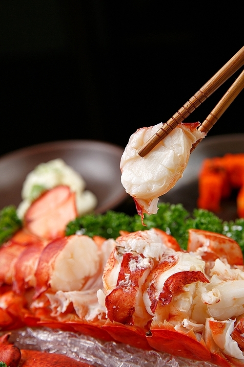 MST_005 | 유토이미지 검색 결과