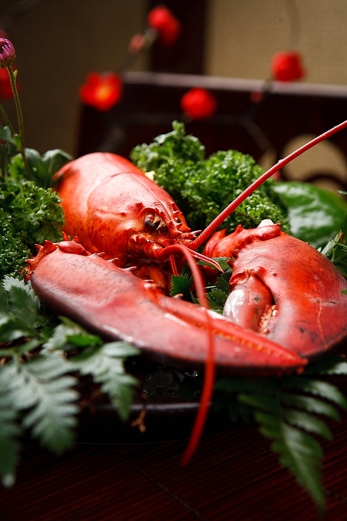 MST_005 | 유토이미지 검색 결과