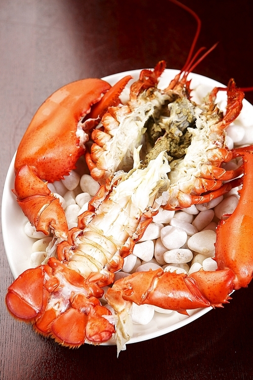 MST_005 | 유토이미지 검색 결과