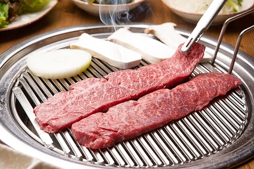 MST_062 | 유토이미지 검색 결과