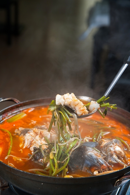 우럭 | 유토이미지 검색 결과