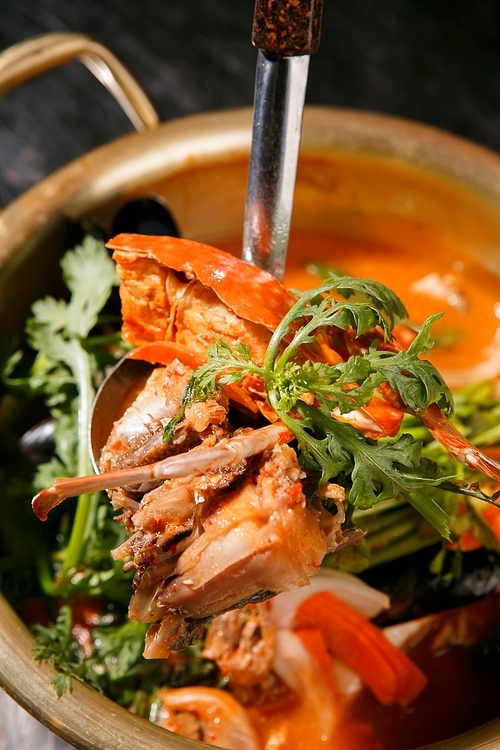 MST_123 | 유토이미지 검색 결과