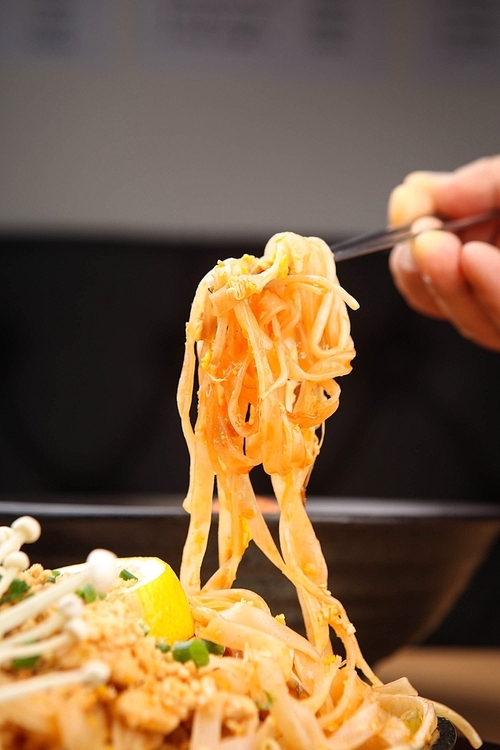 MST_165 | 유토이미지 검색 결과