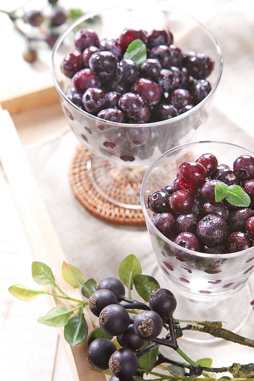 MST_174 | 유토이미지 검색 결과