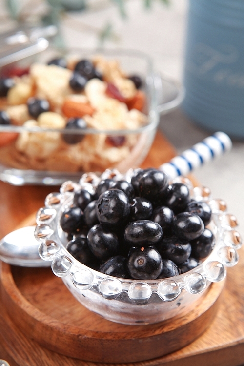 MST_174 | 유토이미지 검색 결과