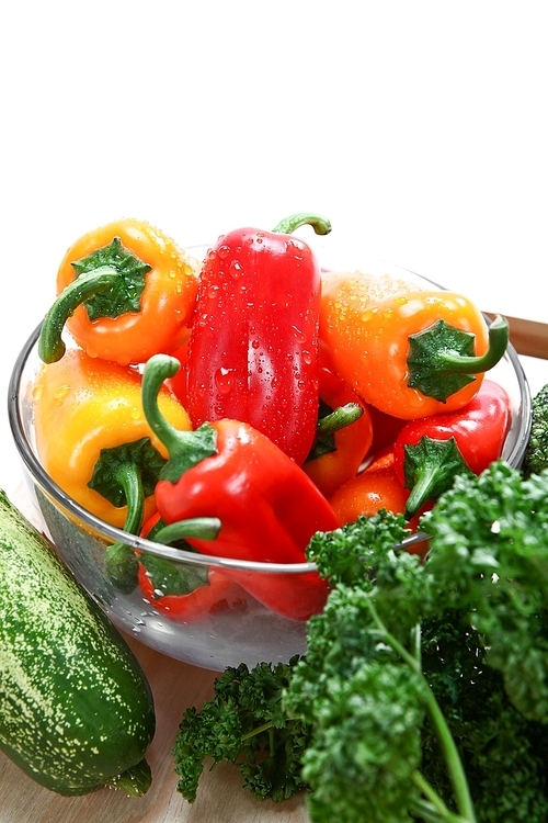 MST_174 | 유토이미지 검색 결과