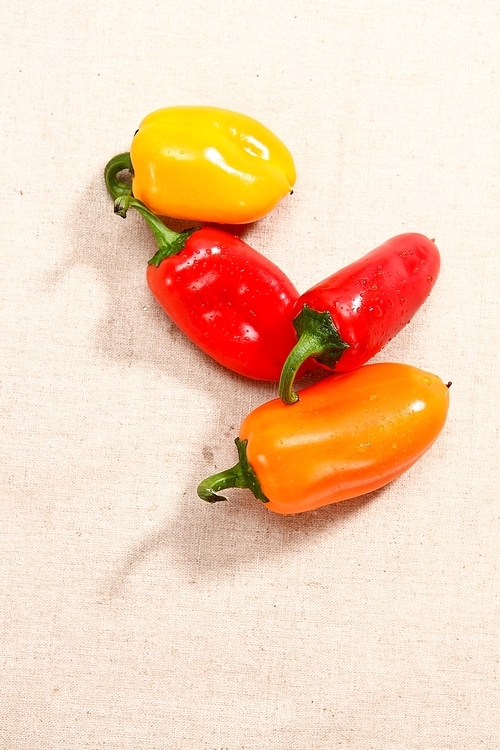 MST_174 | 유토이미지 검색 결과