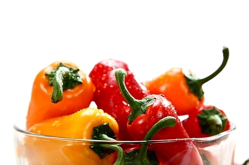 MST_174 | 유토이미지 검색 결과