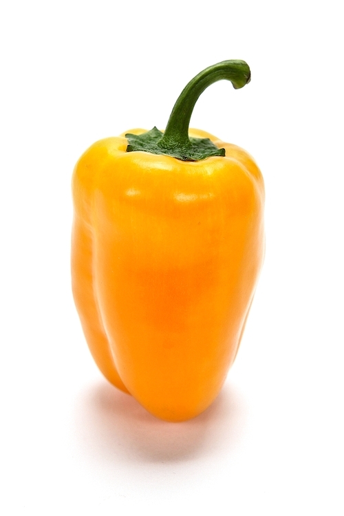 MST_174 | 유토이미지 검색 결과