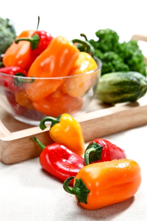 MST_174 | 유토이미지 검색 결과