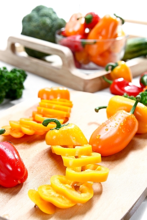 MST_174 | 유토이미지 검색 결과