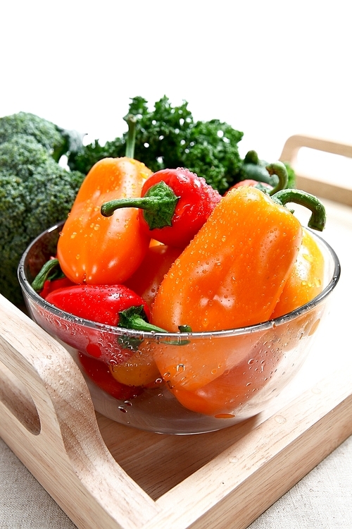 MST_174 | 유토이미지 검색 결과