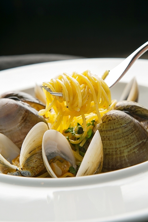 MST_193 | 유토이미지 검색 결과