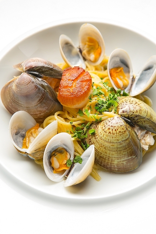 MST_193 | 유토이미지 검색 결과