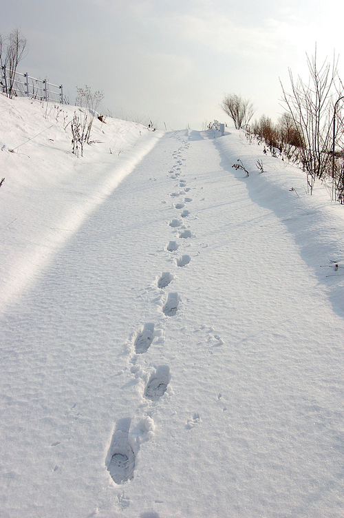 눈발자국 | 유토이미지 | 상세페이지 | 베이직샵 | 사진 | 20459866