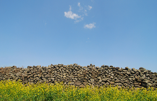 N210614 | 유토이미지 검색 결과