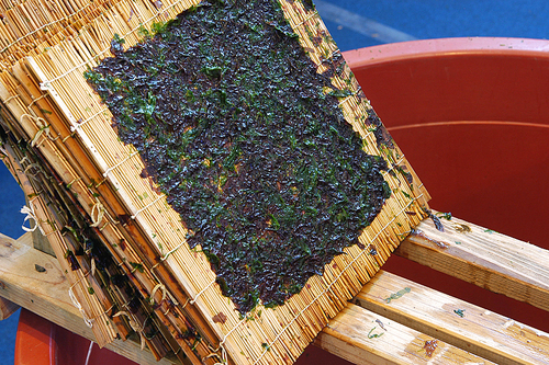 김 | 유토이미지 | 상세페이지 | 베이직샵 | 사진 | 20525226