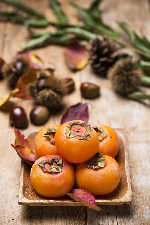 Autumn Object 037 | 유토이미지 | 상세페이지 | 베이직샵 | 사진 | 20395427