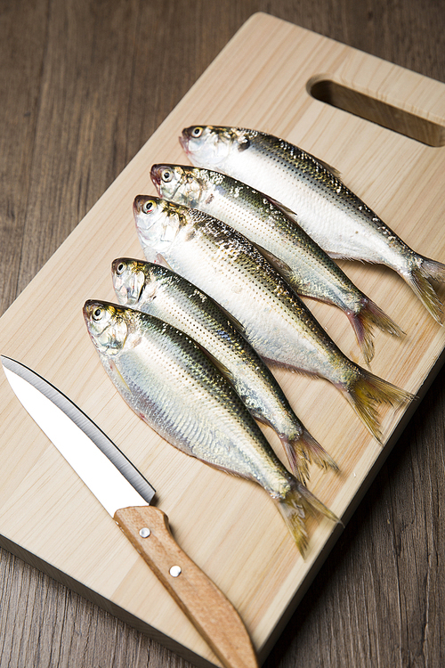 전어 | 유토이미지 검색 결과