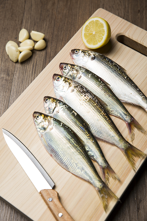 전어 | 유토이미지 검색 결과