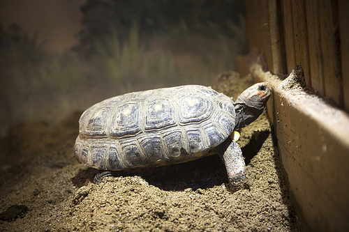 PHO442 | 유토이미지 검색 결과