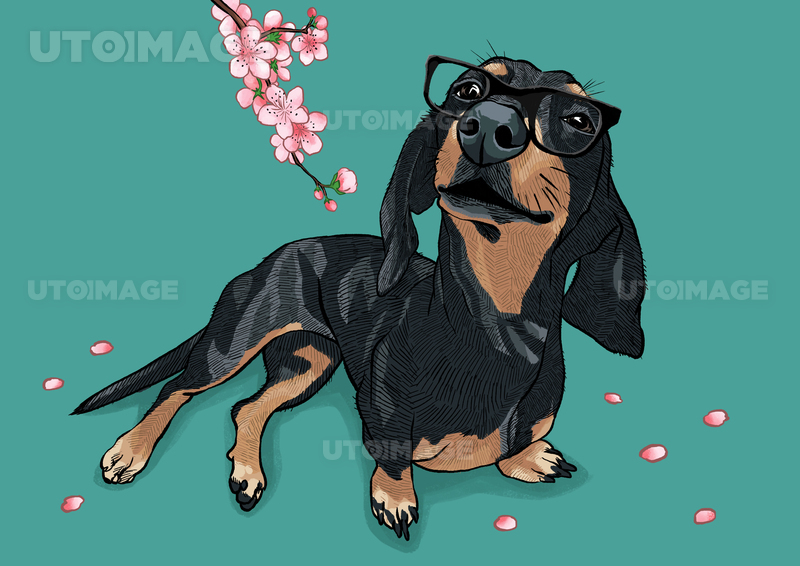 반려동물003 | 유토이미지 | 상세페이지 | 베이직샵 | 일러스트 | 20443525