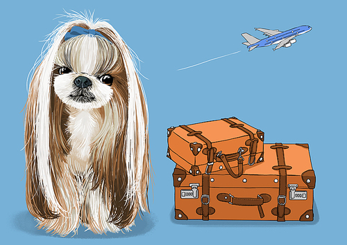 SPAI240 | 유토이미지 검색 결과