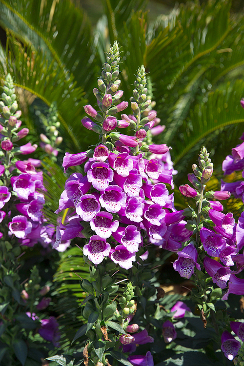 PHO497 | 유토이미지 검색 결과