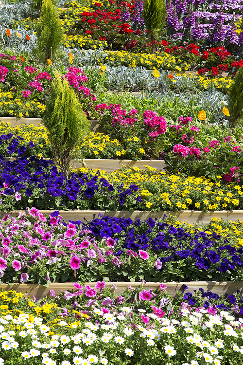 PHO497 | 유토이미지 검색 결과