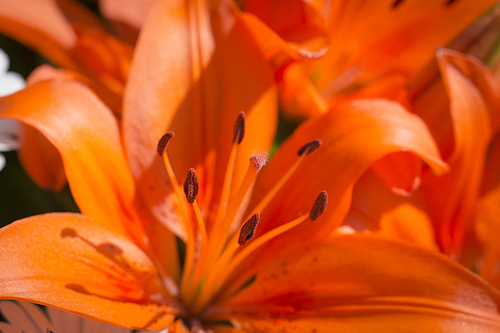 PHO497 | 유토이미지 검색 결과