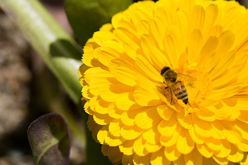 PHO497 | 유토이미지 검색 결과