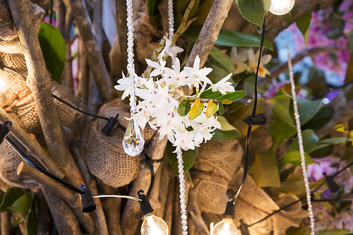 PHO497 | 유토이미지 검색 결과