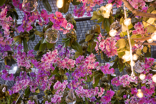 PHO497 | 유토이미지 검색 결과