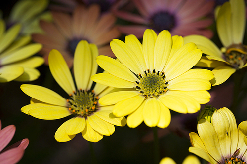 PHO497 | 유토이미지 검색 결과