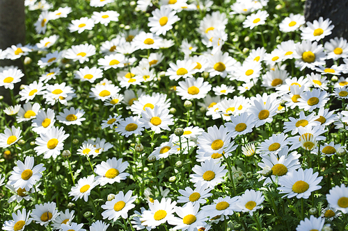 PHO497 | 유토이미지 검색 결과