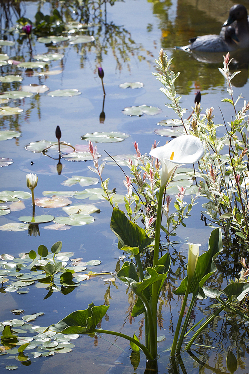 PHO497 | 유토이미지 검색 결과