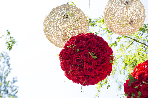 PHO497 | 유토이미지 검색 결과