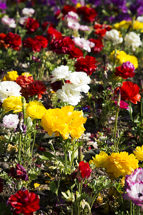 PHO497 | 유토이미지 검색 결과