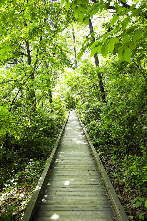 PHO499 | 유토이미지 검색 결과