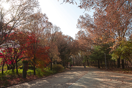 PHO543 | 유토이미지 검색 결과