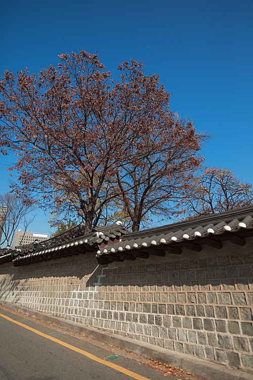 PHO543 | 유토이미지 검색 결과