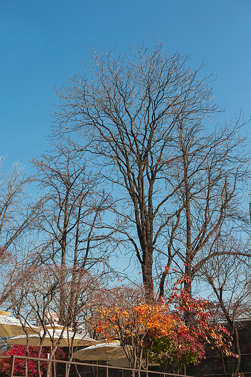 PHO543 | 유토이미지 검색 결과