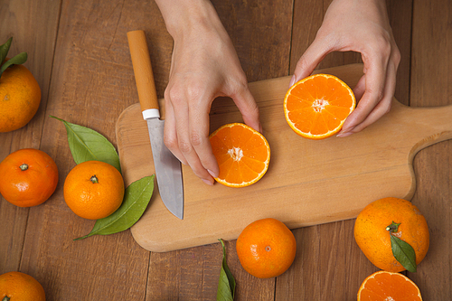 PHO536 | 유토이미지 검색 결과