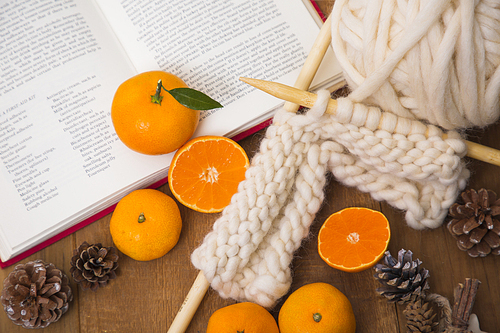 PHO536 | 유토이미지 검색 결과