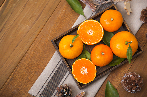 PHO536 | 유토이미지 검색 결과