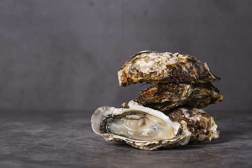 PHO540 | 유토이미지 검색 결과