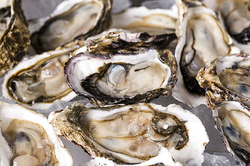 PHO540 | 유토이미지 검색 결과