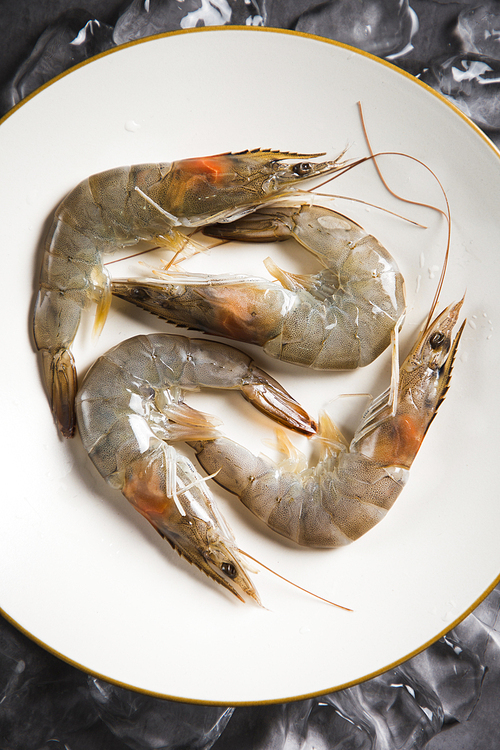 PHO540 | 유토이미지 검색 결과