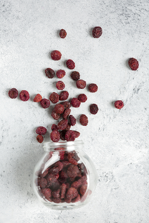 PHO573 | 유토이미지 검색 결과